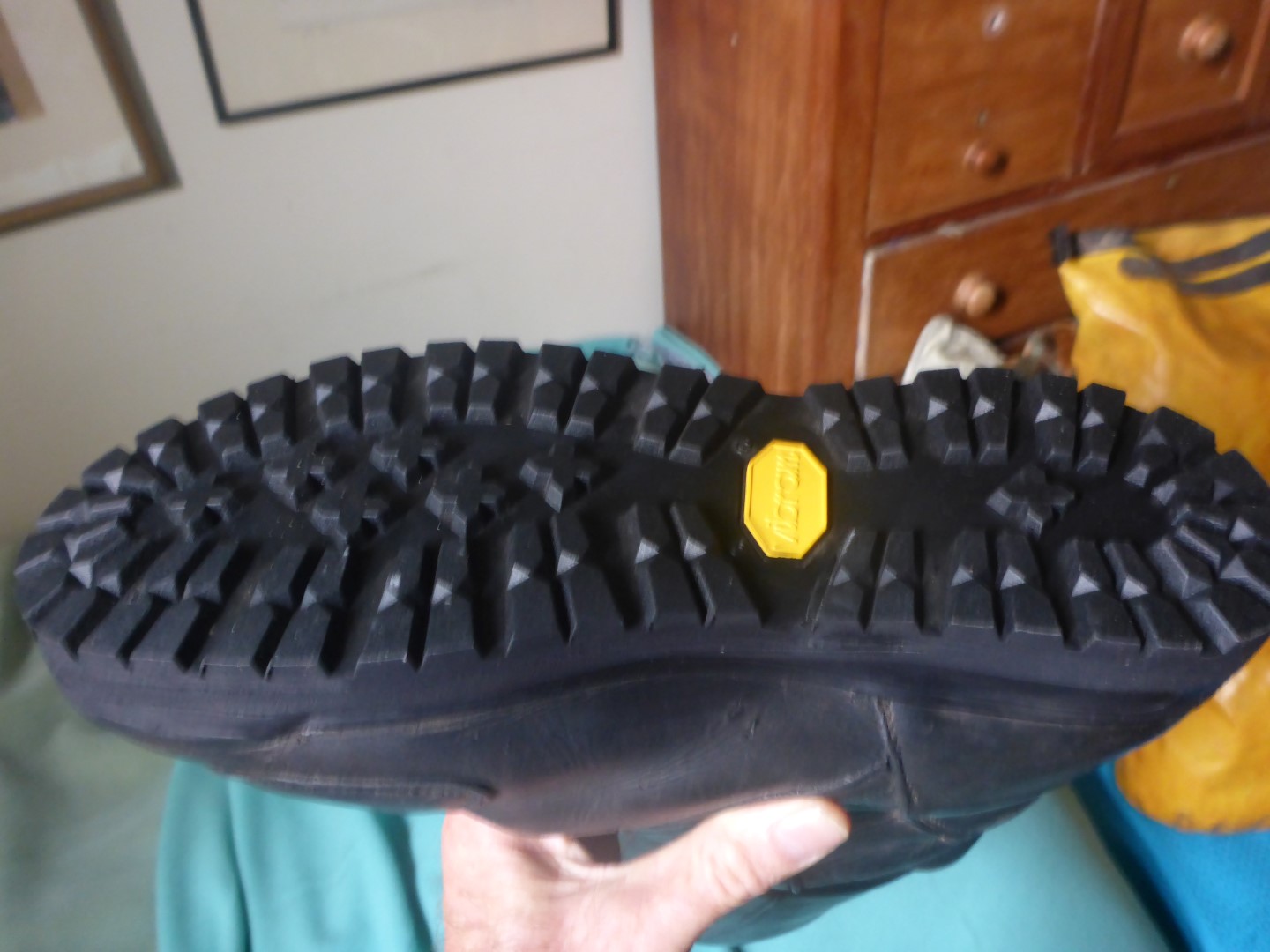 P1070274 – MOTOPANGAEA